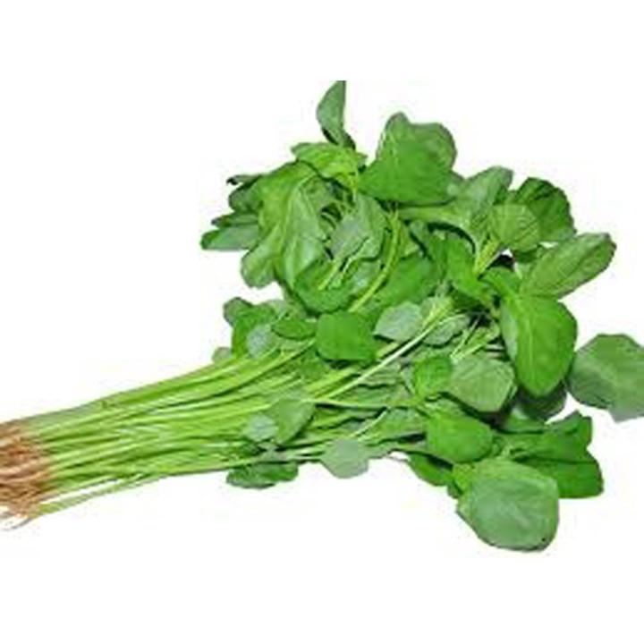 Data Vegetables Seeds (ডাটাশাক বীজ) - 1000 pieces intact packet | Daraz ...