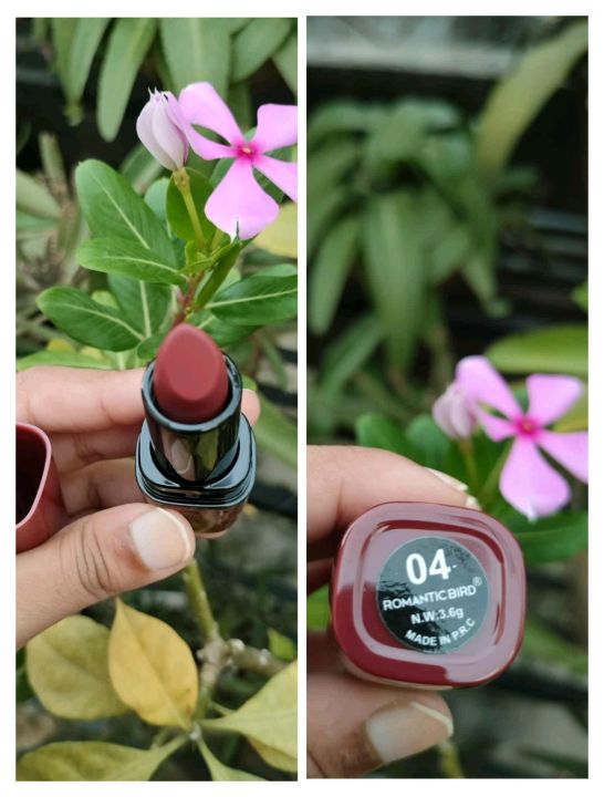 Romantic Bird Velvet Matte Lipstick Shade 04 | Daraz.com.bd
