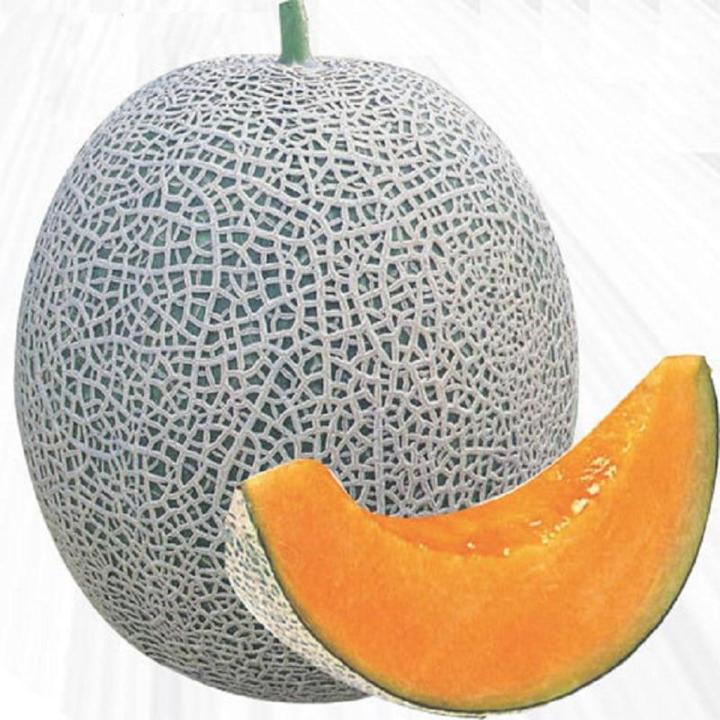 Bali Shi Textured Organic Vegetable Sweet Sammam Seeds - 10Pcs Seeds ...