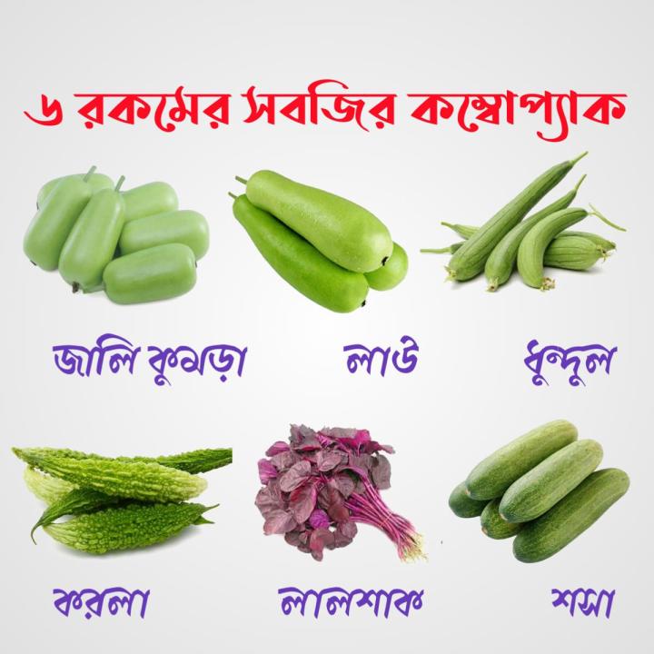 6 type vegetable seeds (combo pack) | Daraz.com.bd