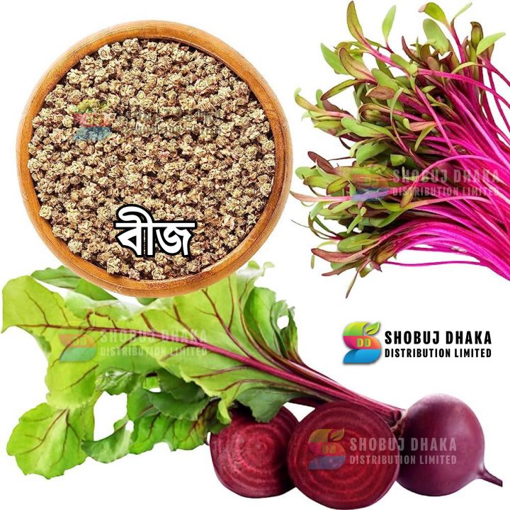 Beet Root Seeds Re-Pack F1 Hybrid (INDIAN) 0.1gm | Daraz.com.bd