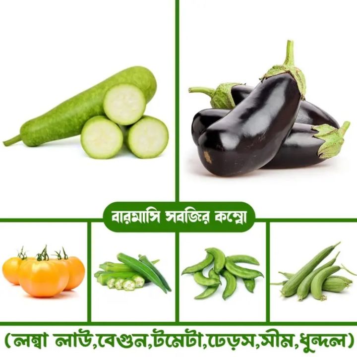 Hybrid 6 type vegetable combo pack seed 60 pcs | Daraz.com.bd
