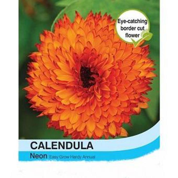 Calendula Neon Red Flowers Seeds - 50 Pcs | Daraz.com.bd