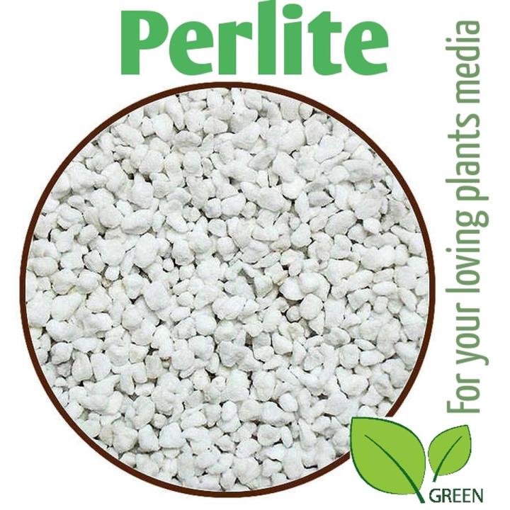 Perlite Soil for Indoor & Outdoor Plants - Natural - 100 gm | Daraz.com.bd