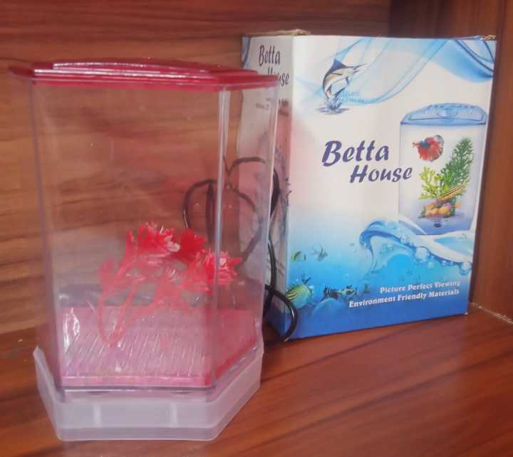 Betta House (Single House With Light) For Fish | Daraz.com.bd