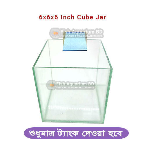 6x6x6 inch Cube Jar Transparent Fish Glass Aquarium or Jar 6 inch Fish ...