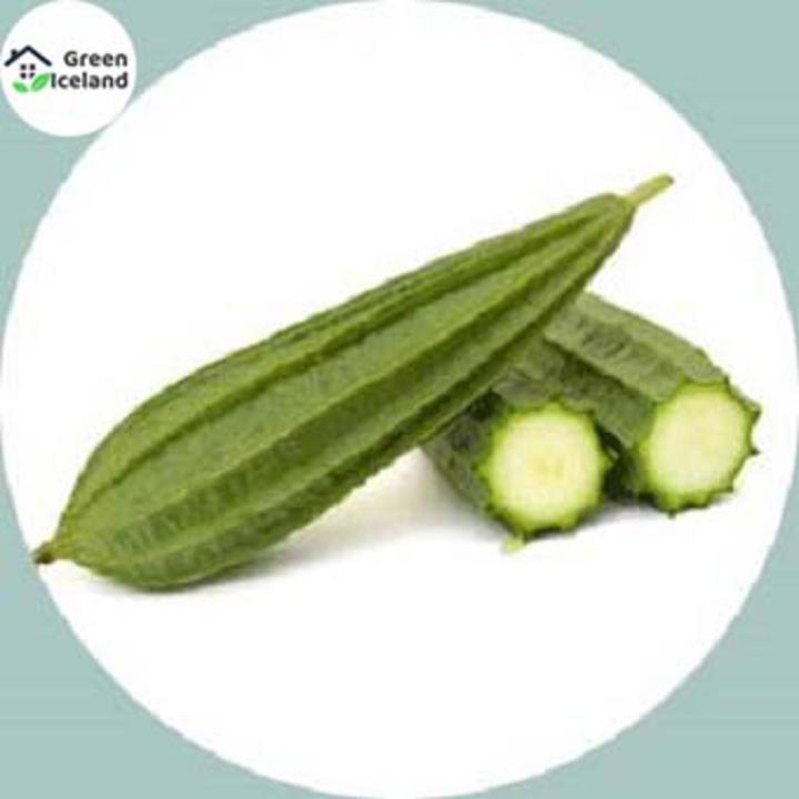 20 Pcs Global Jhinga / Shrimp Seeds (ঝিংগা বীজ) | Daraz.com.bd