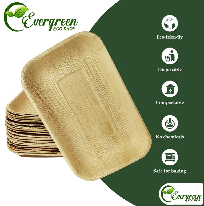 Areca Leaf 10x6 Inch Disposable Bamboo Plates 12 Pcs Like Party Pack ...