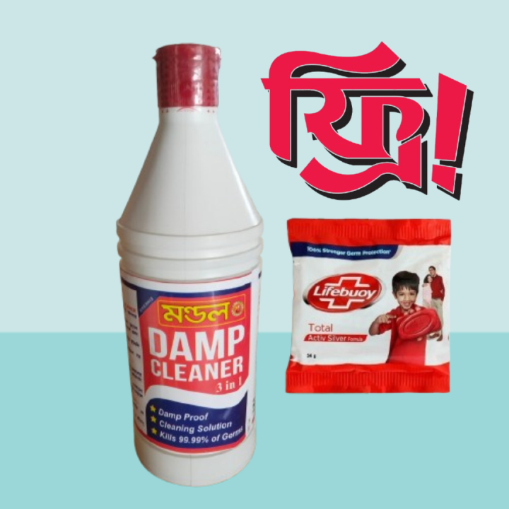 Damp Cleaner 3 in 1 Proof Cleaning Solution for Walls – 1L”. Toilet ...
