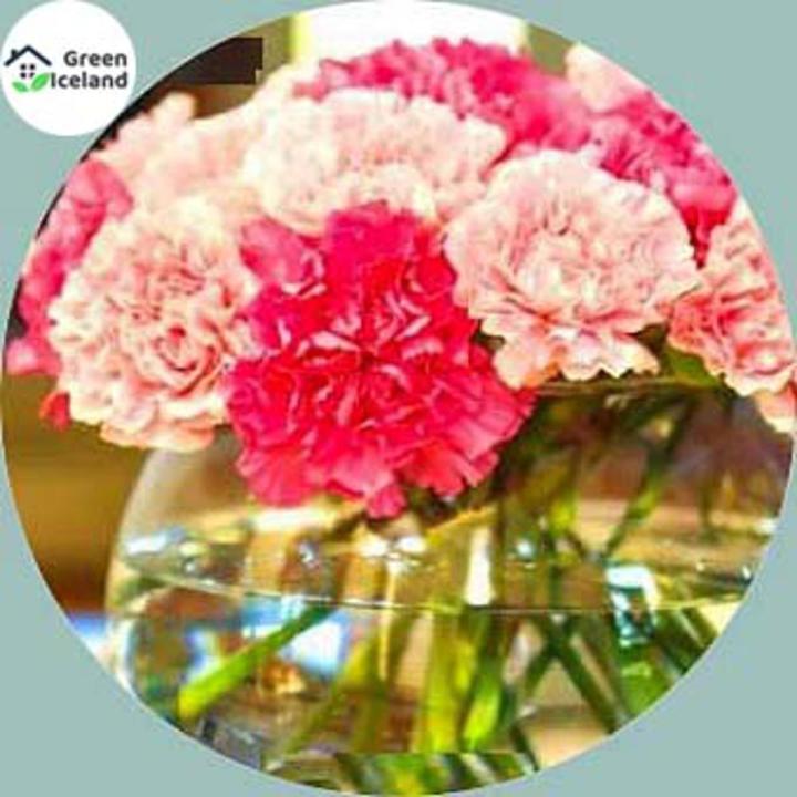Perennial Flower Tree Seeds - 30 Pcs Seeds | Daraz.com.bd