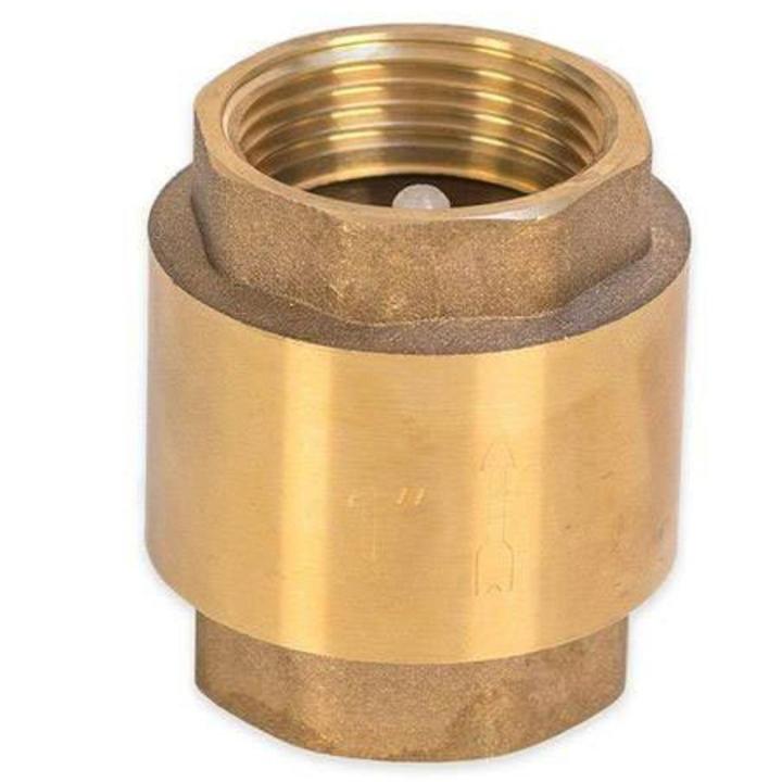 spring check valve 2" two inch full brass | Daraz.com.bd