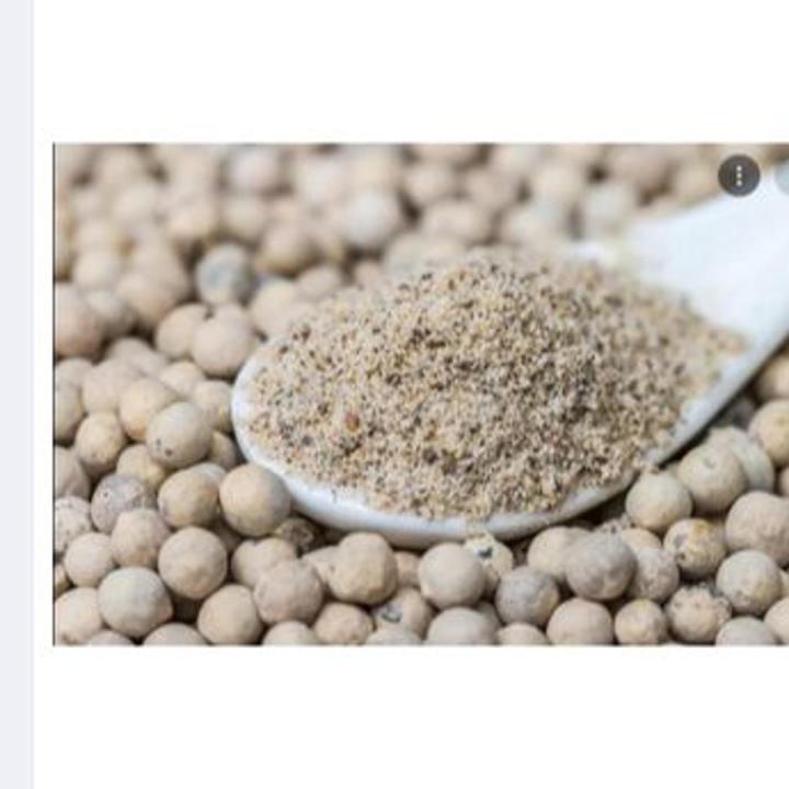 Ground white pepper isolated in white. 25g | Daraz.com.bd