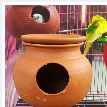 Pot mud House with Lid for Egg Laying and Breeding for Budgies Love ...
