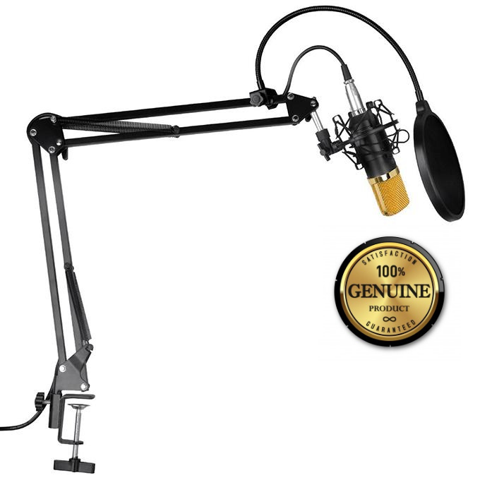 BM-800 Condenser Microphone Full Studio Setup - BM800 Complete Package ...
