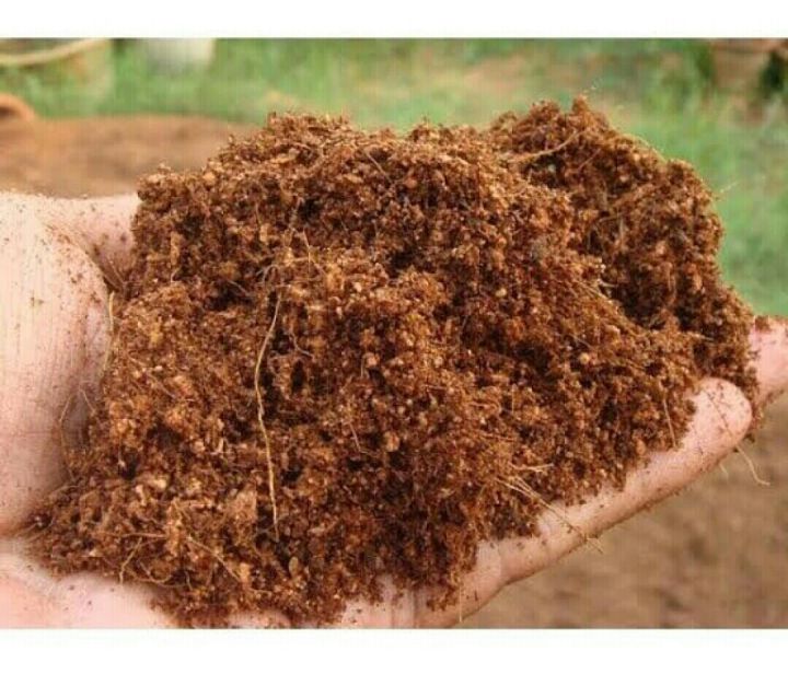 Coco Dust Dry (Zero Moisture) 4 Kg | Daraz.com.bd