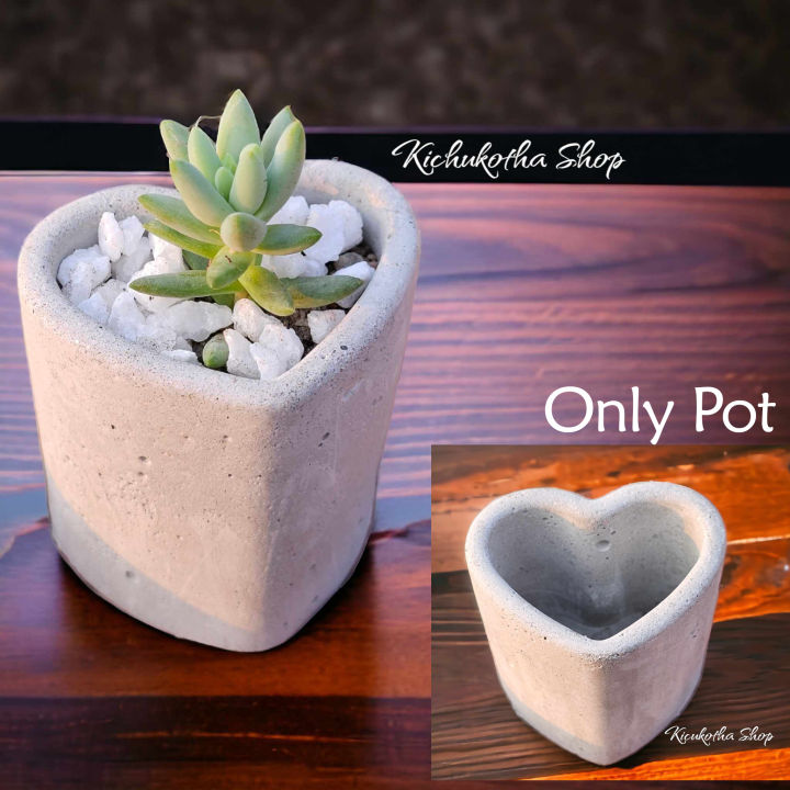 Love Shape Small Cactus Succulent Pot Long Love for Mini Plant Cement ...