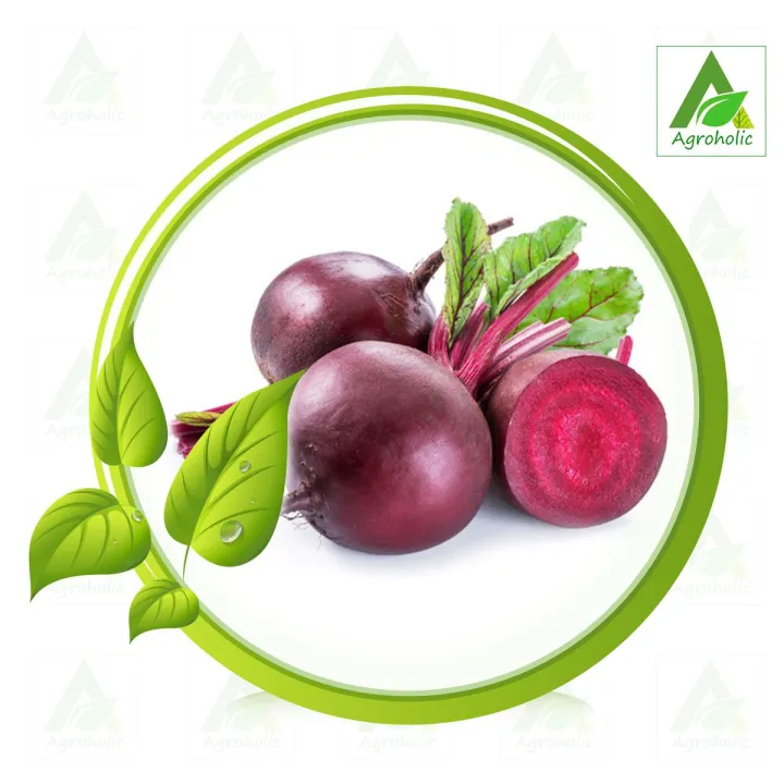 Hybrid Beetroot Vegetable Seed (Re-Packet) - 2 gm | Daraz.com.bd