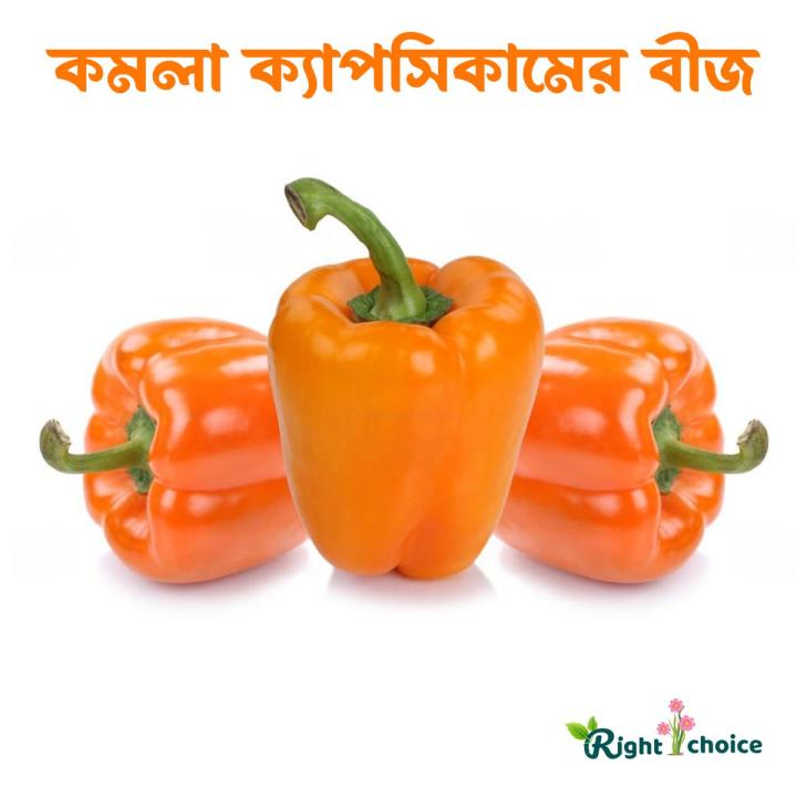 Capsicum Seeds orange Color 22 Pice+gift | Daraz.com.bd