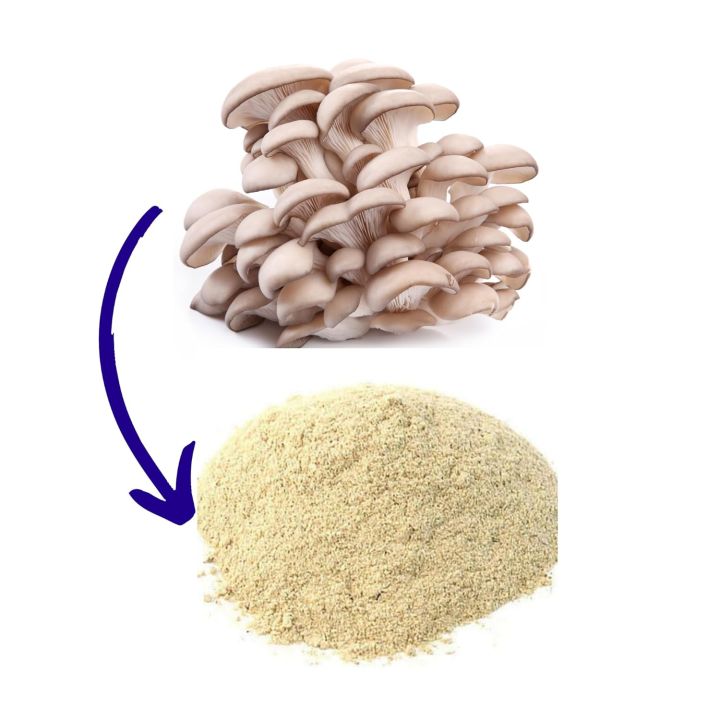 Oyester Dry Mushroom Mushroom Powder 100g | Daraz.com.bd