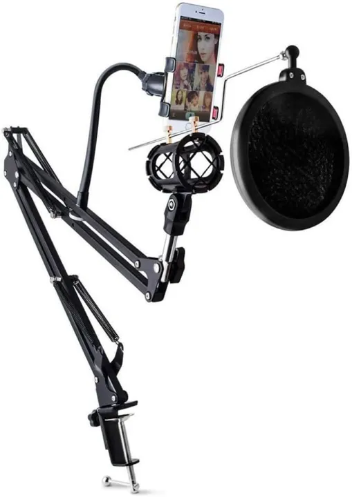 Remax CK100 Mobile Recording Studio Microphone Stands with Microphone ...
