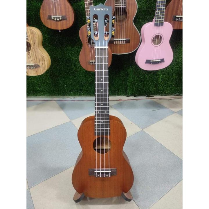 প্যাডেড ব্যাগ, পিকস, স্ট্রিংস এবং স্ট্র্যাপের সাথে lankro সলিড টপ 24 ...