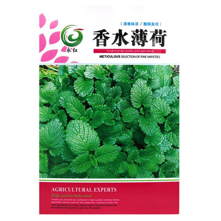Perfume Mint Seeds- 100pcs Intec Packet Seeds | Daraz.com.bd