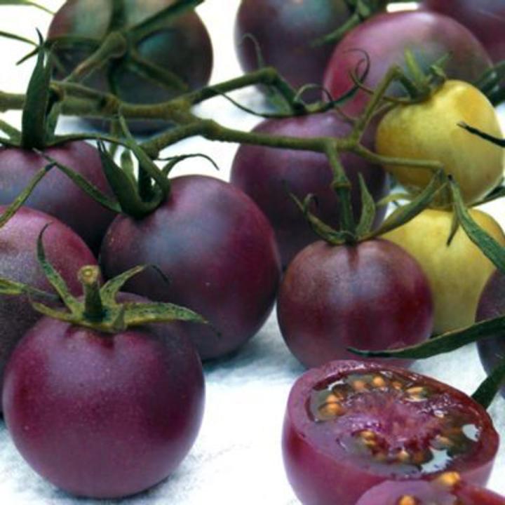 Black Cherry Tomato Rare Sweet Fruit Vegetable Organic NUTRIENT- 30Pcs ...