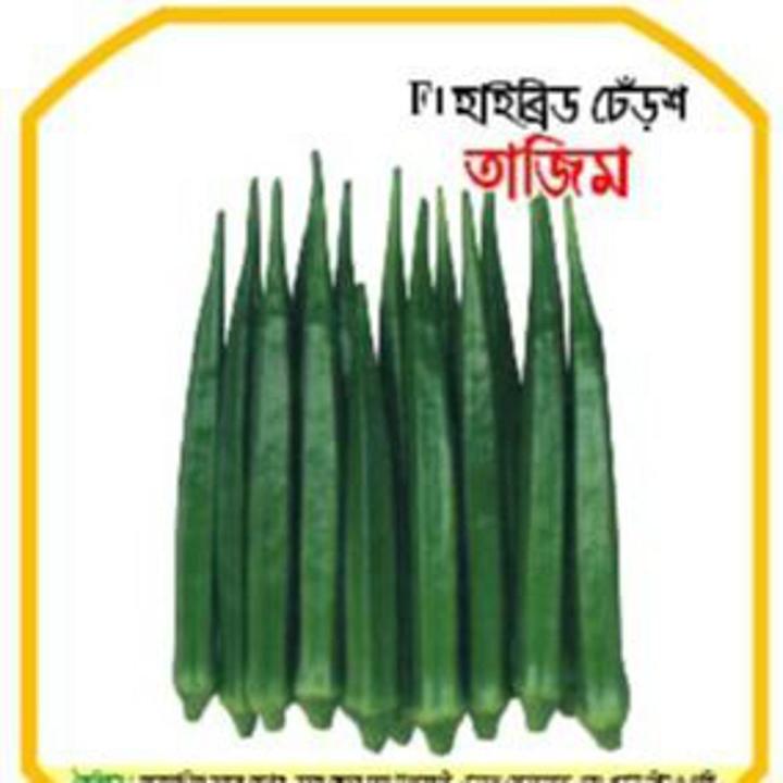 Derosh Hybrid Tazim-10 gram | Daraz.com.bd