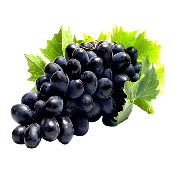 Natural Black Finger Grape America Giant Grape Bonsai Edible Succulent ...