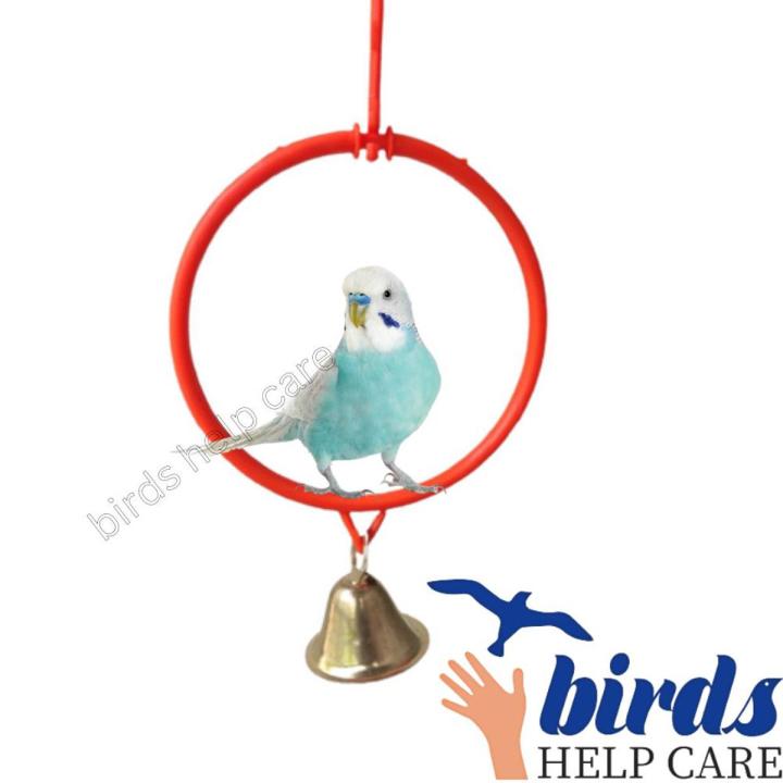 Birds Plastics Round Swing Toy 1pc For Small Birds | Daraz.com.bd