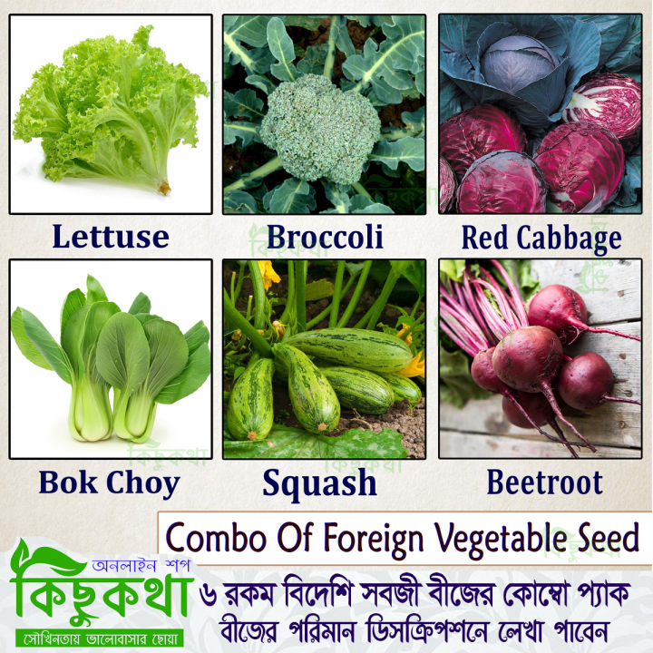 Foreign Vegetable 6 Type Seed Combo - Lettuse, Broccoli, Red Cabbage ...