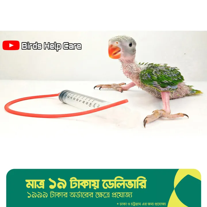 10ML Bird handfeeding Syringes Crop Tubes | Daraz.com.bd