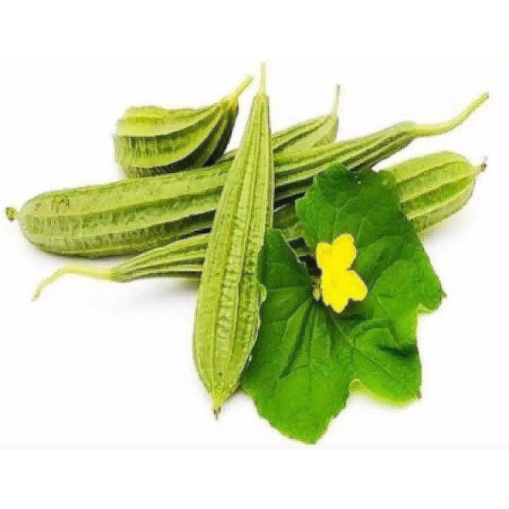HYBRID RIDGE GOURD ( JHINGA ) SEEDS - 5 Seeds | Daraz.com.bd