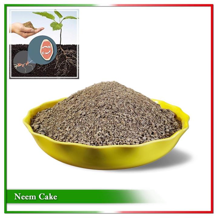 Neem Cake Powder -1 Kg | Daraz.com.bd