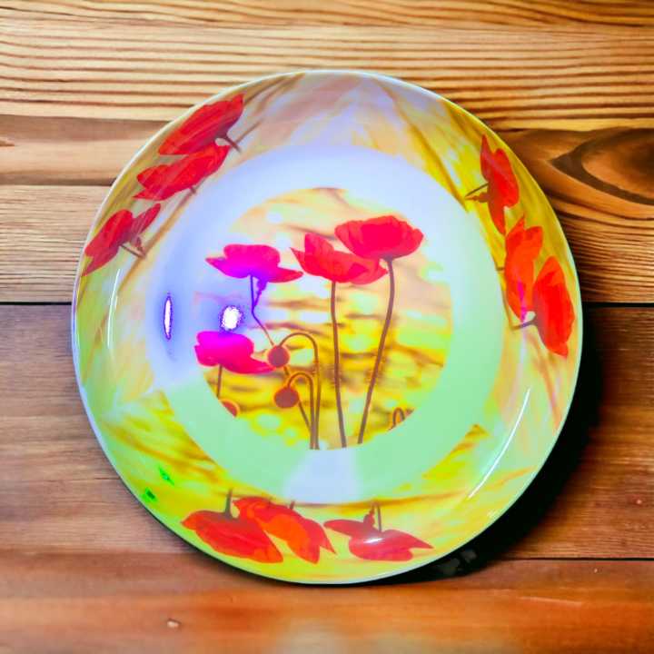 10.3" CRAZY COUP PLATE ITALIANO - 1Pcs | Daraz.com.bd