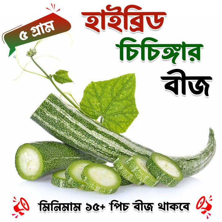 Hybrid Chichinga seed 5 gram | Daraz.com.bd