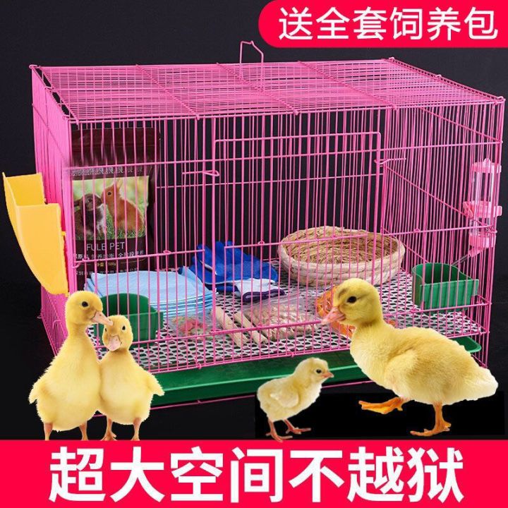 Cole Duck Cage Little Duck Chicken Feeding Cage Pet Home Indoor and ...