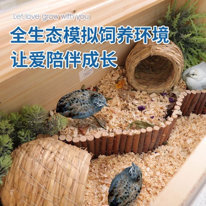Rutin chicken breeding box, rutin chicken housescape pet box, breeding ...