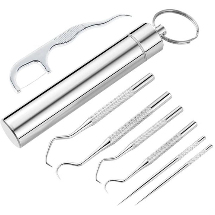 1 Set Toothpick Set Metal Stainless Steel Oral Cleaning Tooth Flossing ...