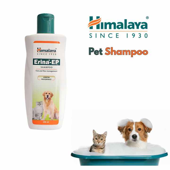 Himalaya Shampoo Anti Tick & Flea Shampoo – For Dogs & Cats – 200ml ...