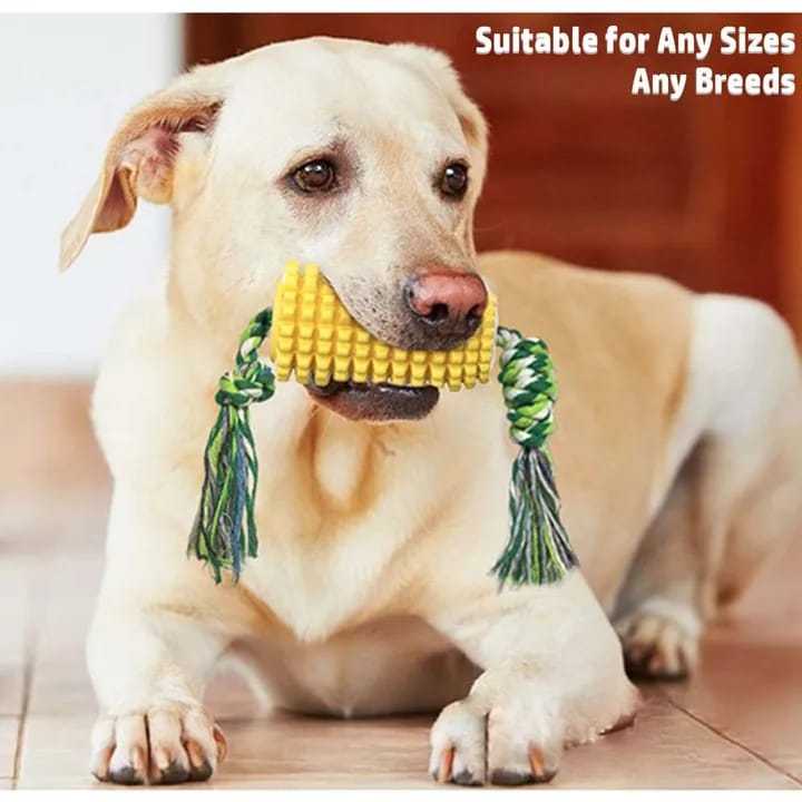 Pet Corn Molar Stick with Bit Resistant Rope Puppy Toothbrush Toy 1pcs ...