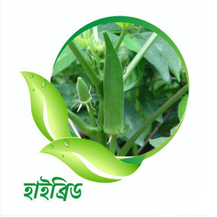 ঢেঁড়শ/ভেন্ডি vendi/ derosh (Okra) ৪০ টি বীজ | Daraz.com.bd