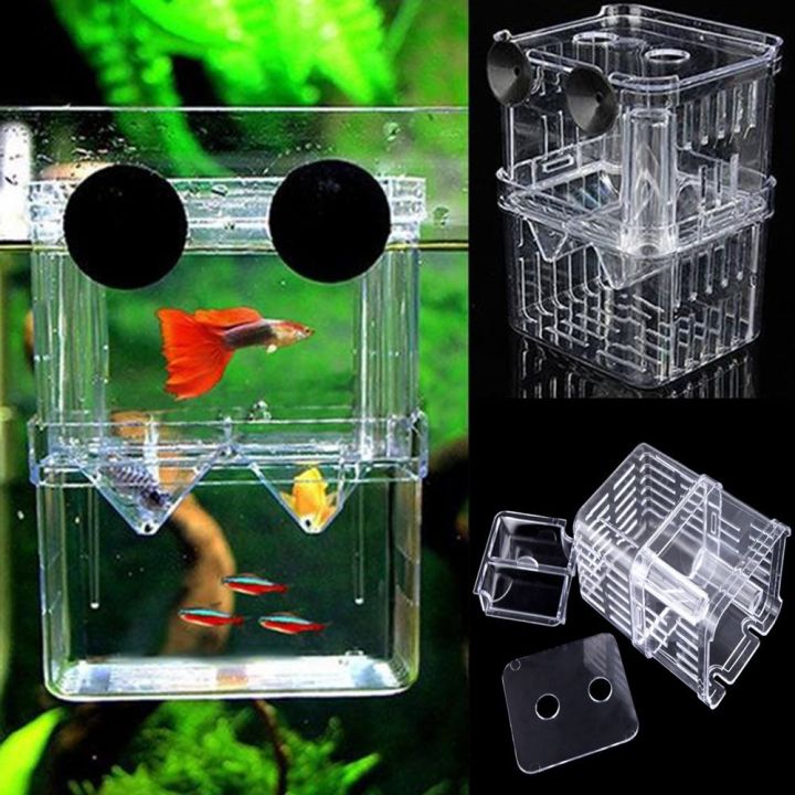 Acrylic Multi-functional Double Guppies Hatching Shrimp Hatchery Fish ...
