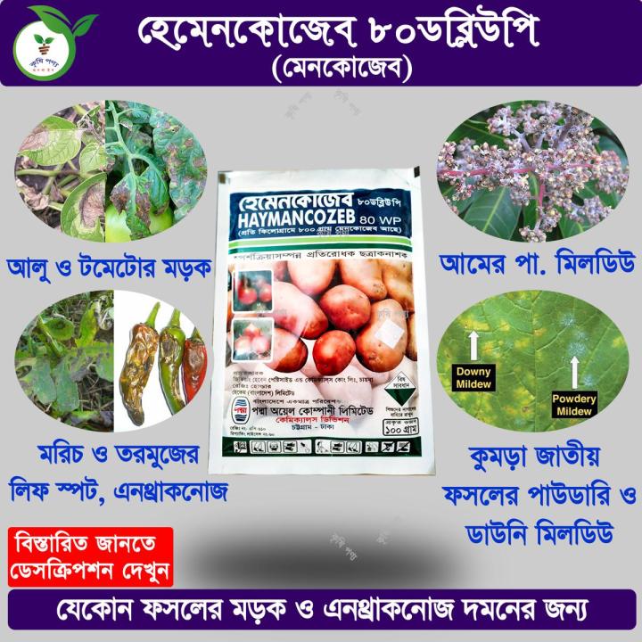 Fungicide: Mancozeb 100gm- Haymancozeb 80WP | Daraz.com.bd