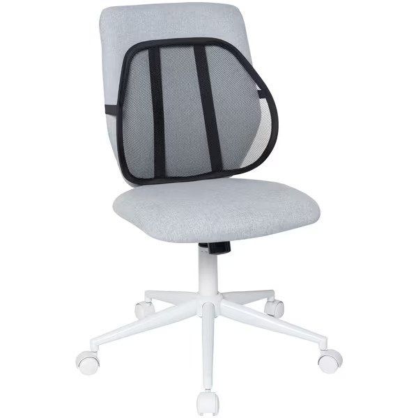 Sit Right Back Chair Support | Daraz.com.bd