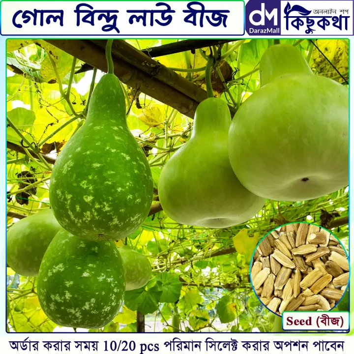 বিন্দু লাউ / গোল লাউ বীজ - ১০/২০ পিচ বীজ - হাইব্রিড সারা বছর চাষযোগ্য ...