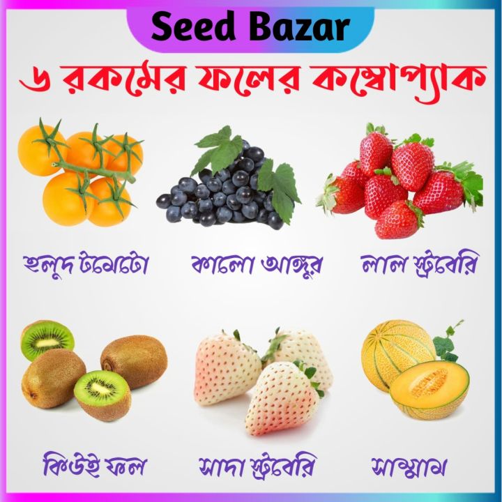 25 Pis Fruits Seeds Combo pack (all season) | Daraz.com.bd