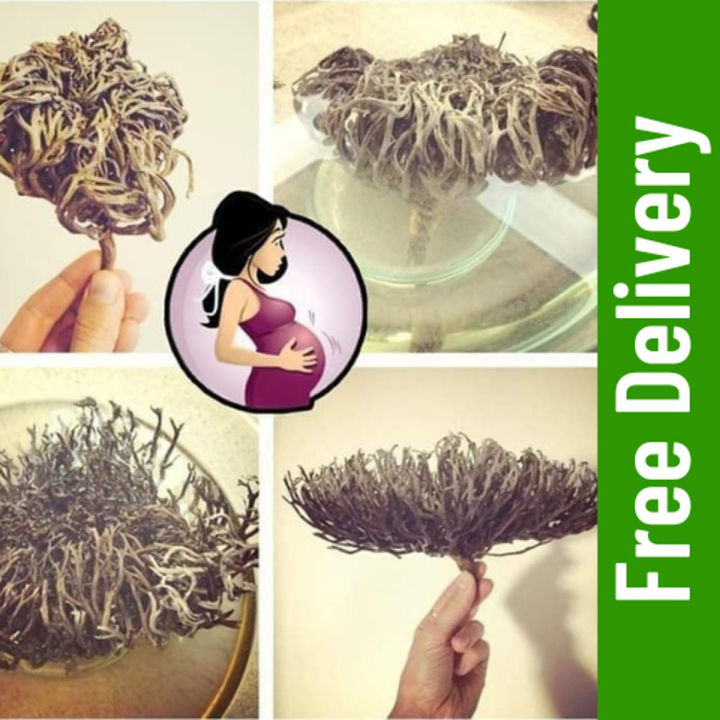 Maryam Full-(Maryam flower is for pregnant and barren women)-1pcs ...