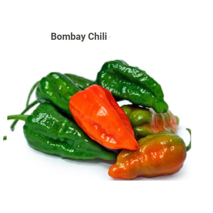 2 paket Bombay Chilli Seeds Hybride 2 Intact Paket | Daraz.com.bd