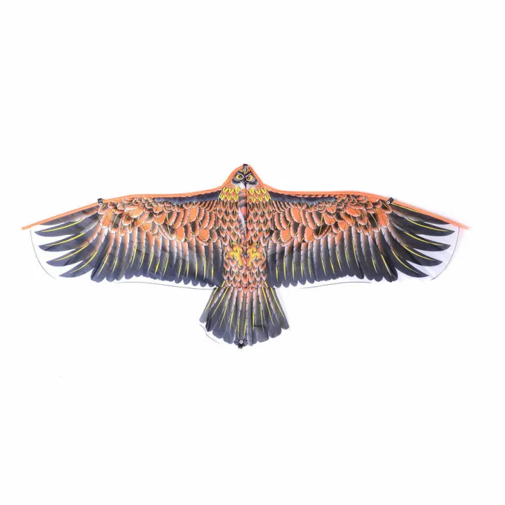 Standard Quality Eagle Kite Waterproof- LargeSize | Daraz.com.bd